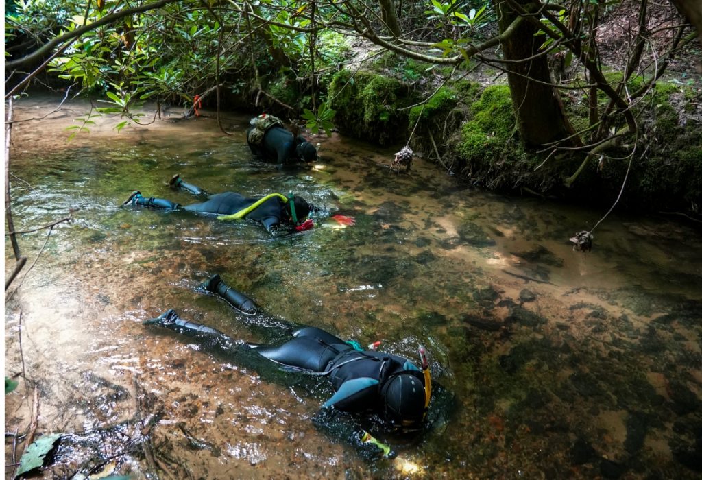 Hellbender Helper - Environment for the Americas