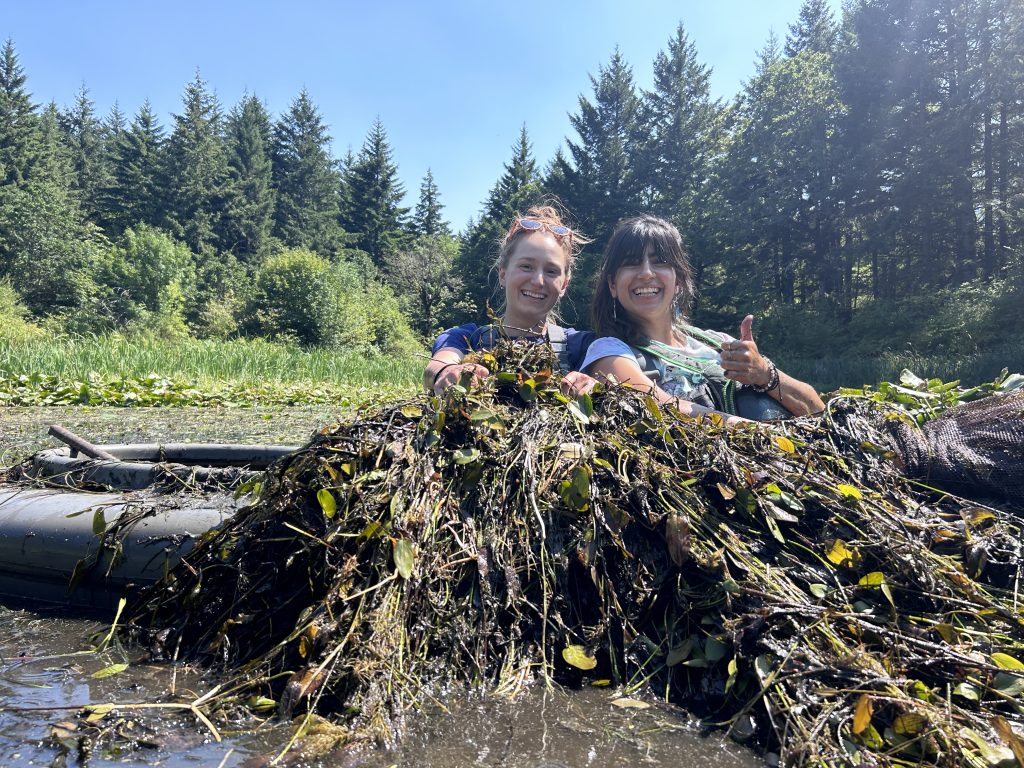 Saving the Turtles one Bullfrog at a Time - Environment for the Americas