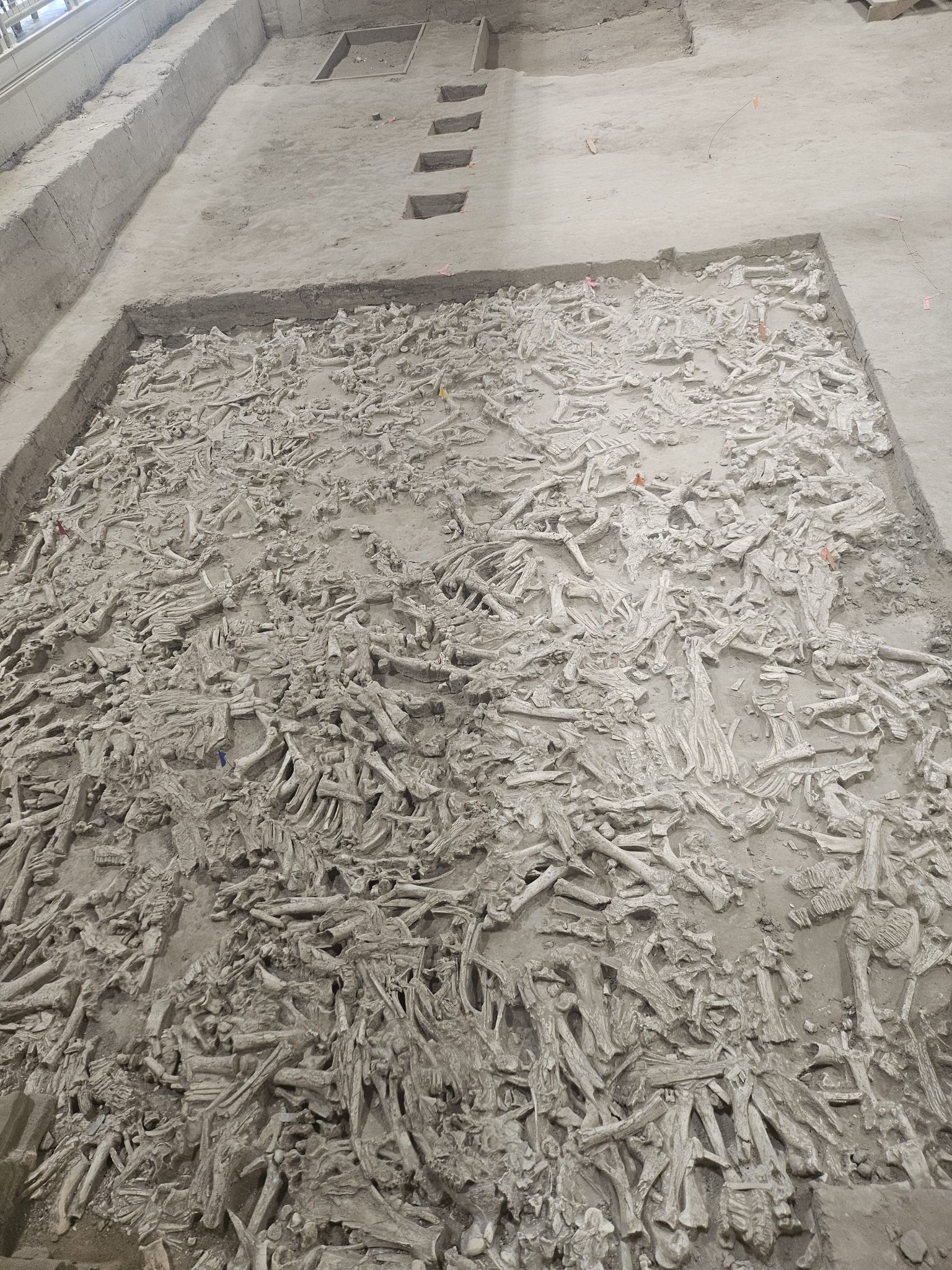 Exploring the Bison Bone Bed in Oglala Grassland - Environment for the ...