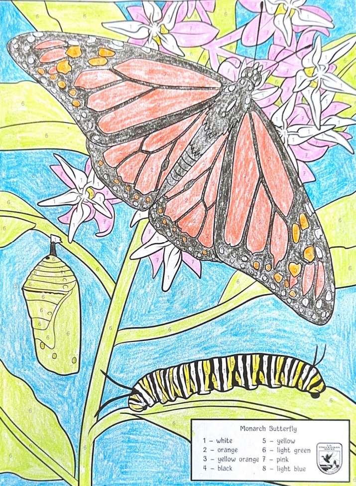 Girl Scouts Monarch Lesson - Environment for the Americas