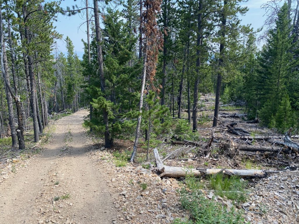 Small NEPA and Trail 622 Reroute Project - Environment for the Americas