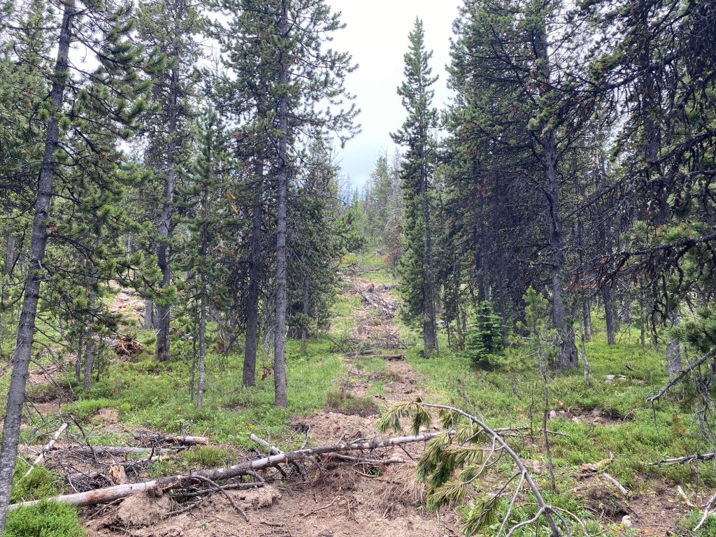 Small NEPA and Trail 622 Reroute Project - Environment for the Americas