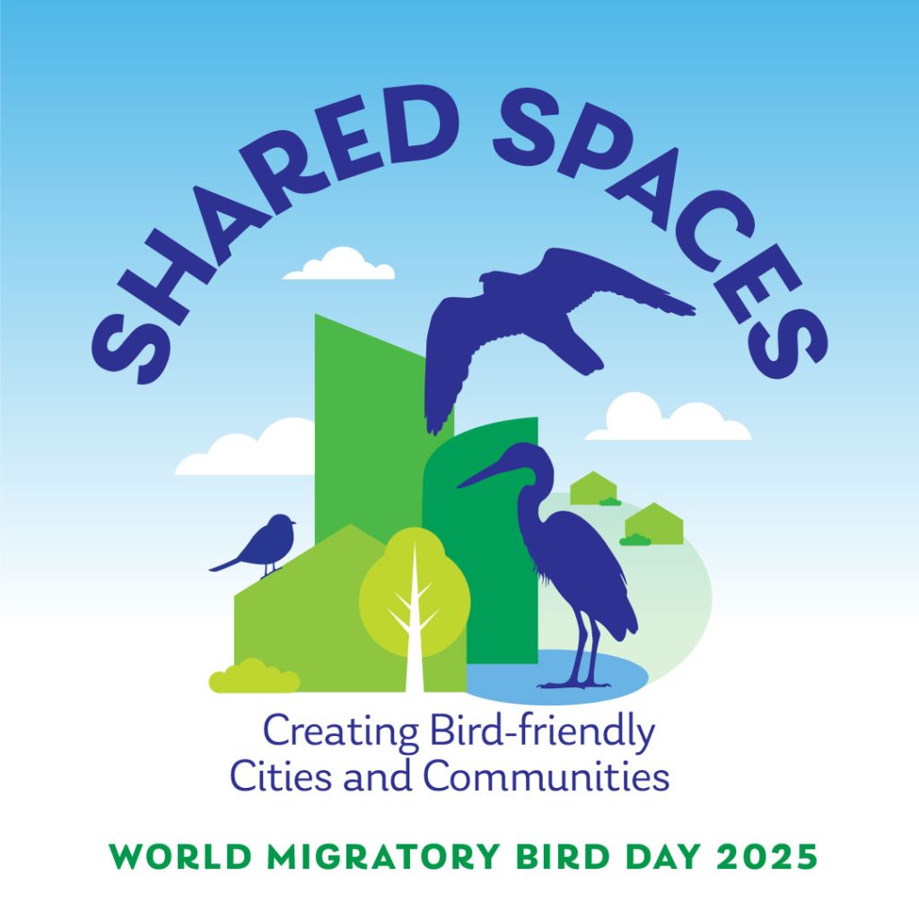 World Migratory Bird Day Unveils 2025 Conservation Theme Focused on ...