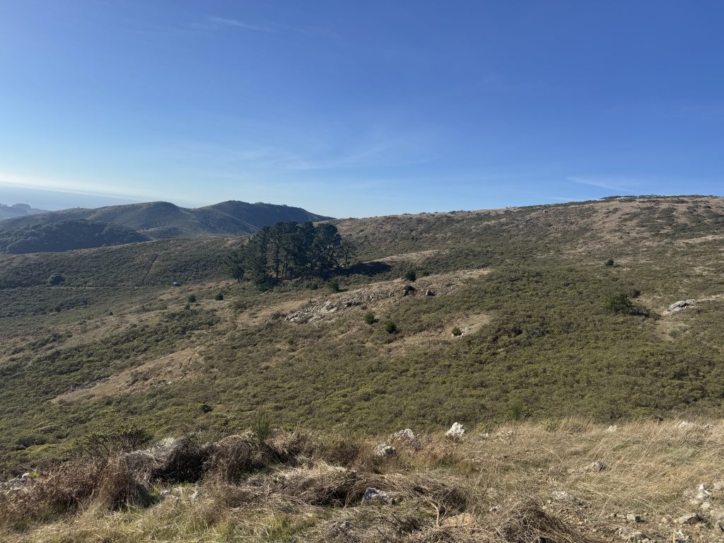 Habitat Restoration in Southern Marin - Environment for the Americas