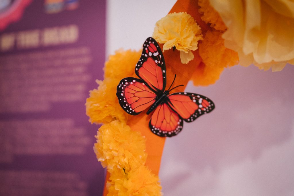 Monarcas y Muertos: Monarch Butterflies and the Day of the Dead ...