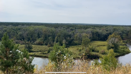 Step up September - Environment for the Americas