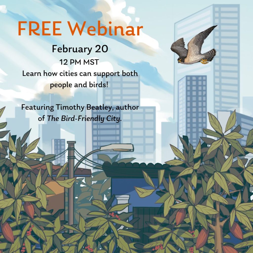 Webinar: Creating Bird-Friendly Cities and Communities - Environment ...