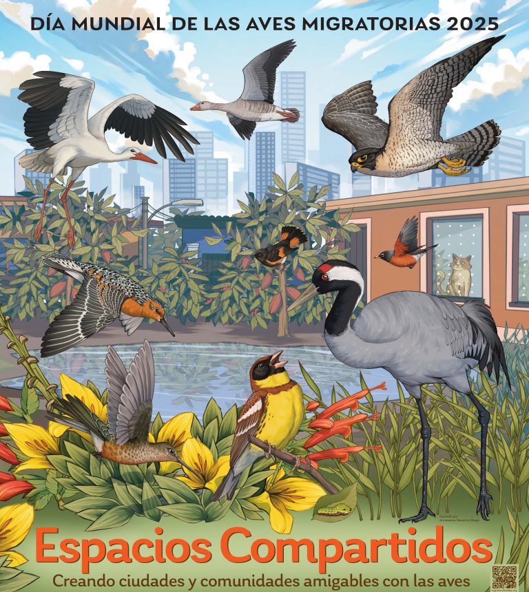 World Migratory Bird Day 2025 Poster Revealed - Environment for the ...