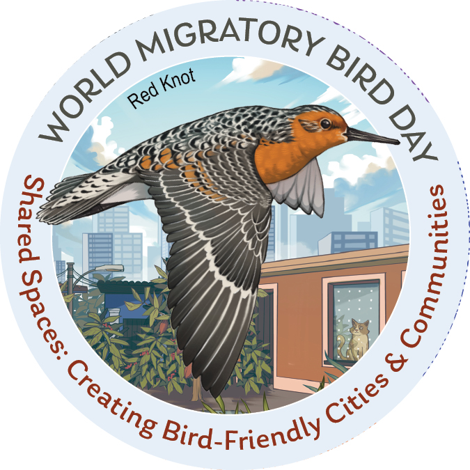 Making Cities Bird-Friendly - Environment for the Americas
