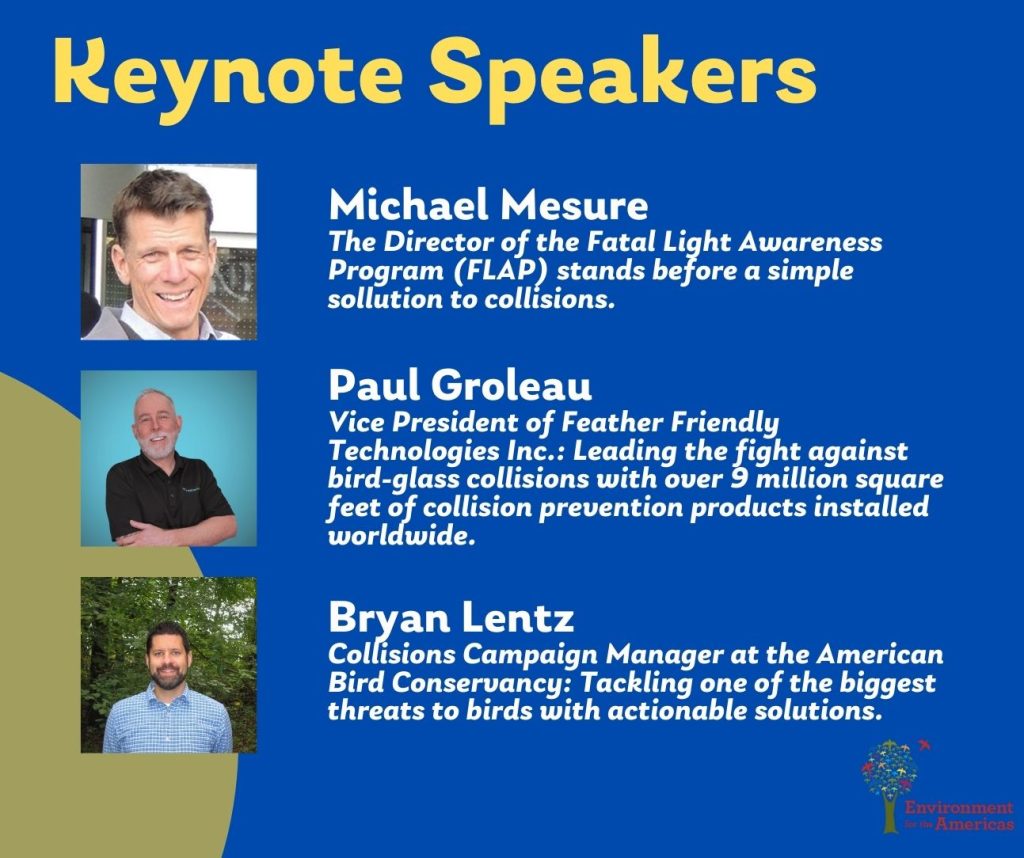 Invisible Threats: How Windows Threaten Birds and What We Can Do About ...