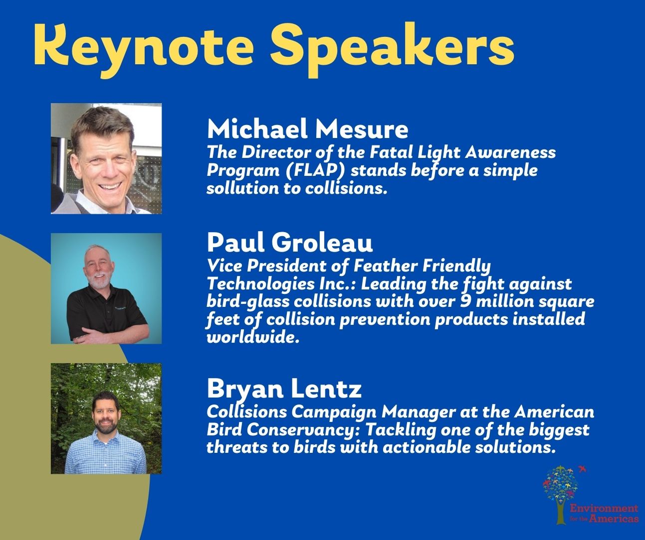 Invisible Threats: How Windows Threaten Birds and What We Can Do About ...