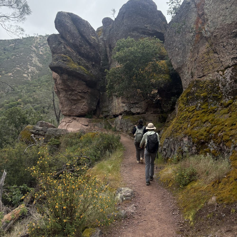 Perla's Path: Habitat Restoration at Pinnacles National Park ...