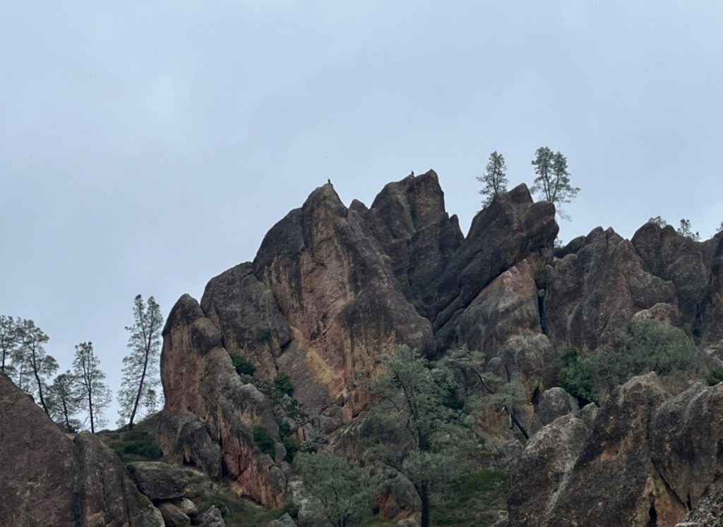 Nature's Fanny Pack: Wildlife at Pinnacles National Park - Environment ...
