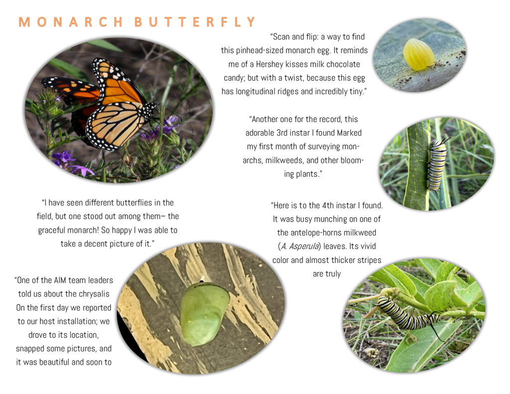 Meet-and-Greet with the Monarch - Environment for the Americas