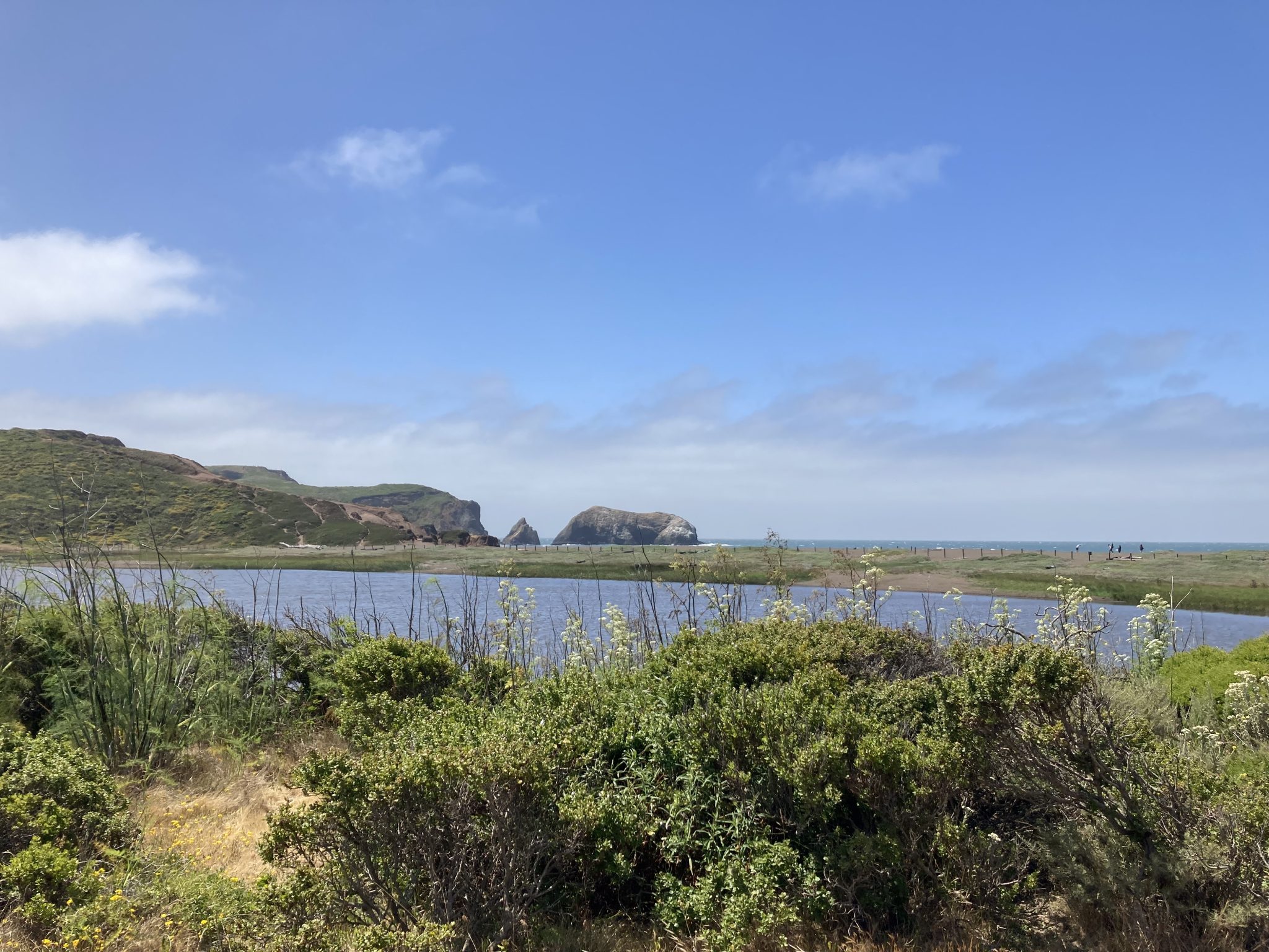 Site visits, site visits, site visits! - Environment for the Americas