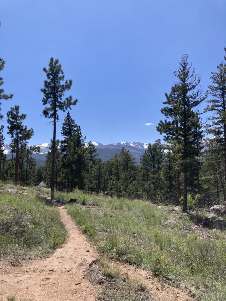 Official Interpretation, Accessibility Mapping, & Running at Rocky ...