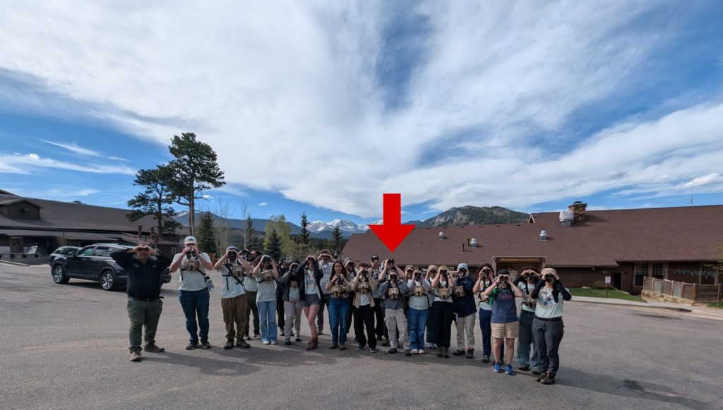 Buzz and Echo: Inside My First Weeks at the Field Office - Environment for the Americas