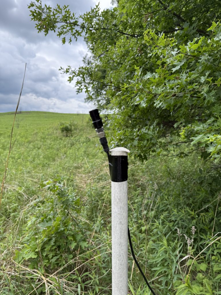 Buzz and Echo: Inside My First Weeks at the Field Office - Environment ...