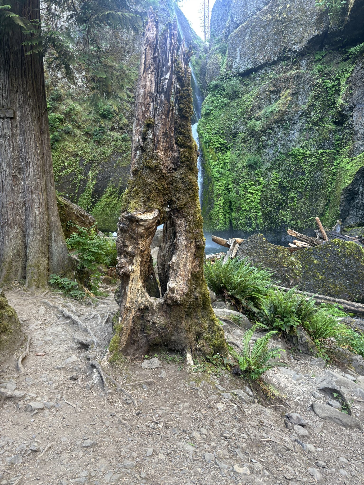 Let's Talk Leave No Trace! - Environment for the Americas