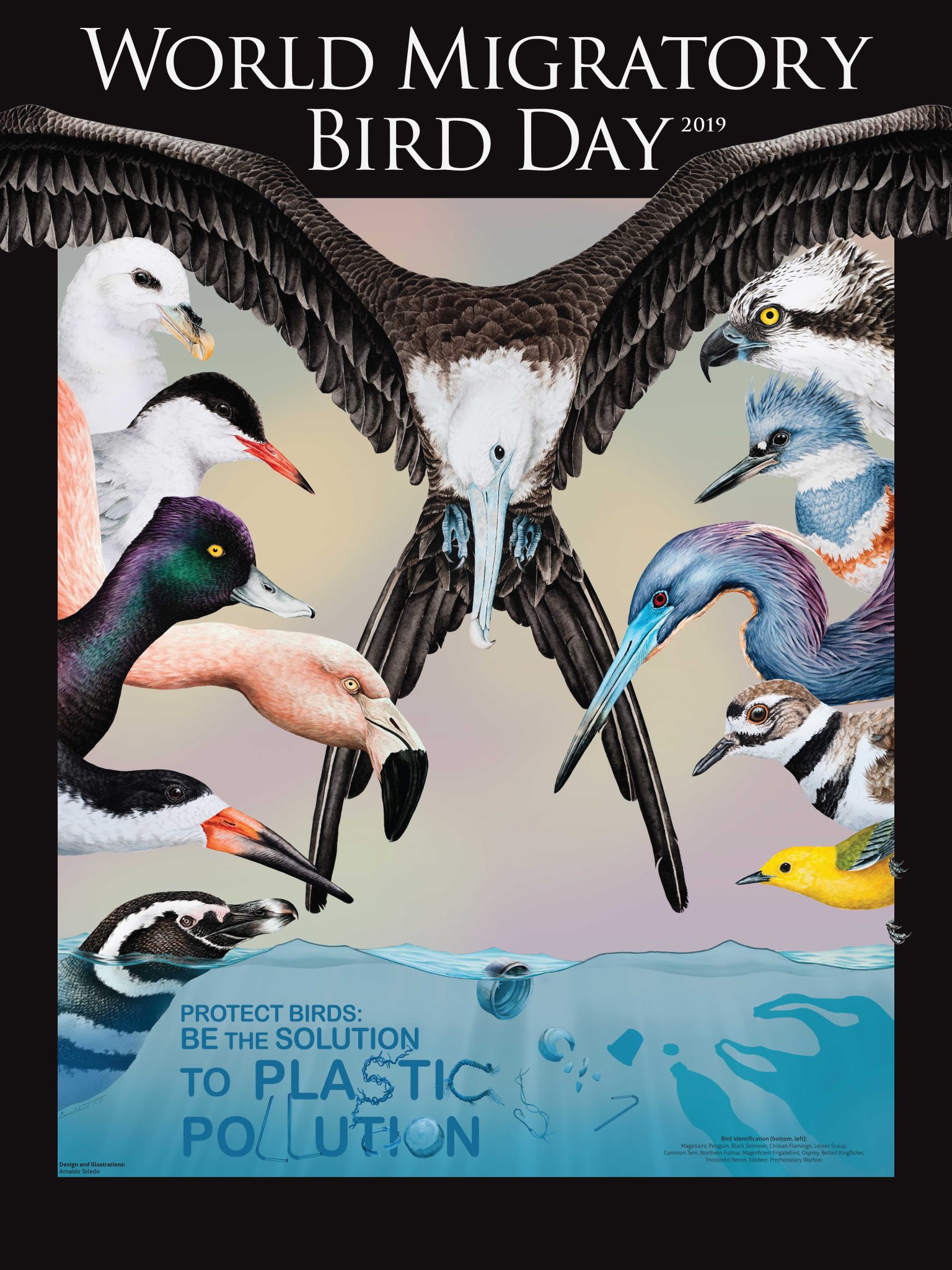 World Migratory Bird Day: Celebrate Nature’s Winged Wonders - Birds