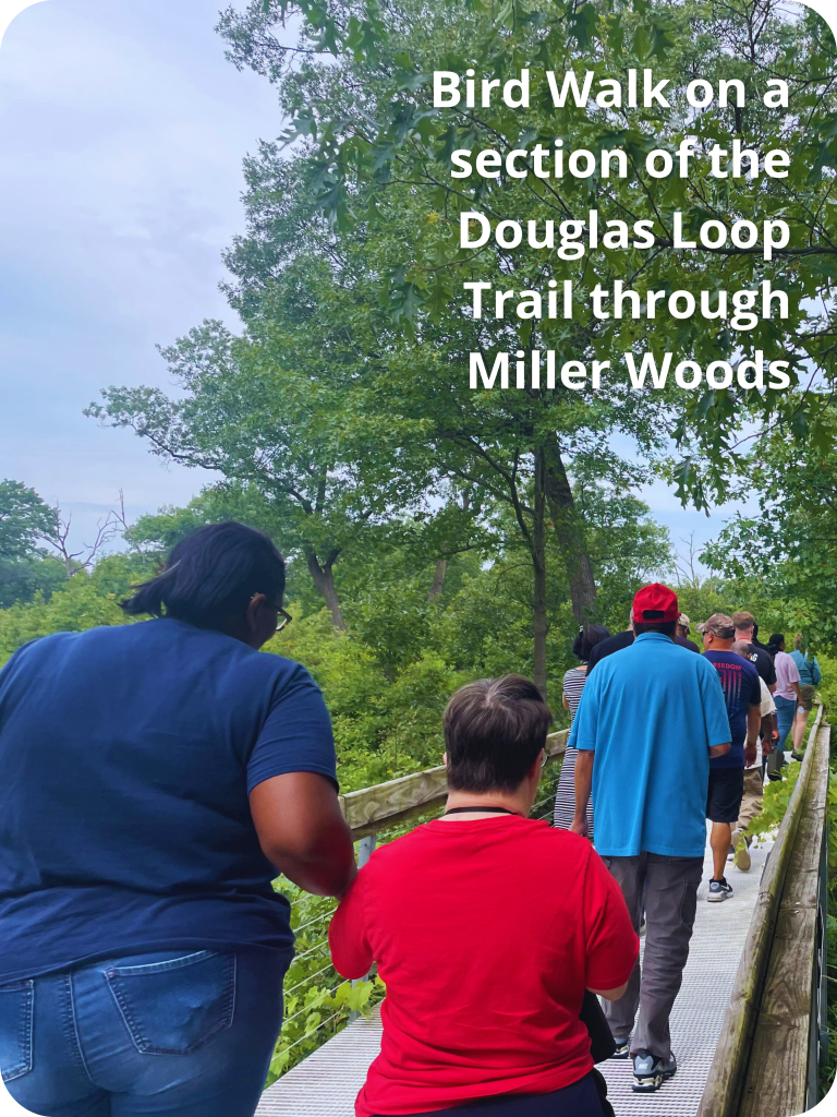 Welcoming Wings: A Look at Our World Migratory Bird Day Pilot Event ...