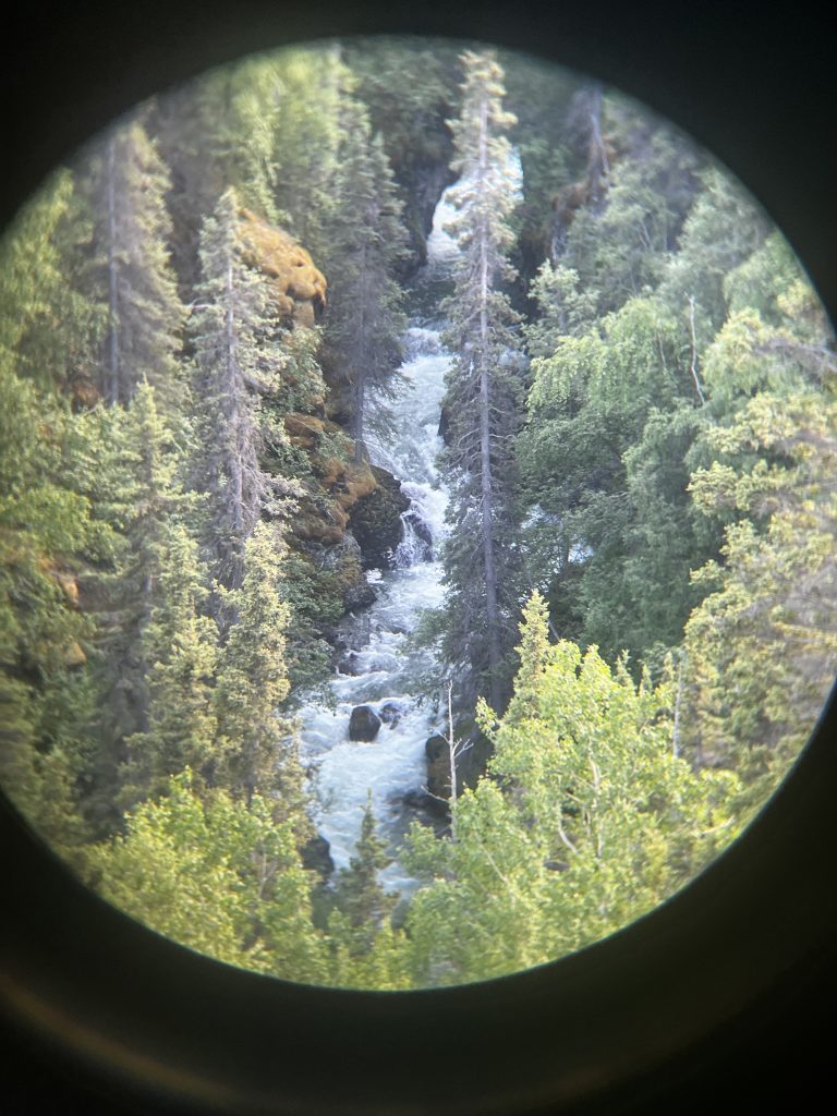 Wings, Waterfalls, and Wildlife - Exploring the Park! - Environment for ...