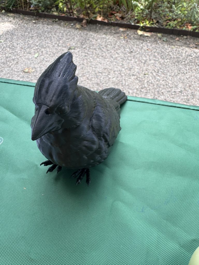 Accessible Materials: Part II - Environment for the Americas