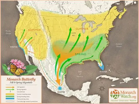 Why do Monarchs stop in Colorado? - Environment for the Americas
