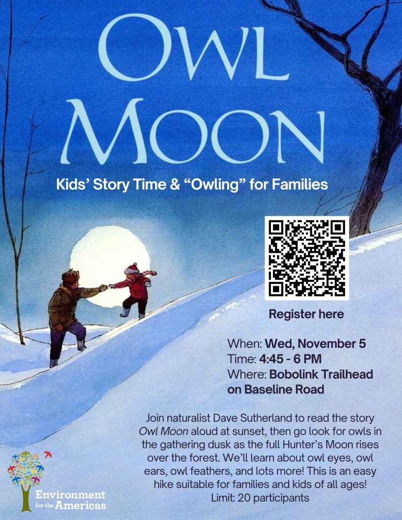 Owl Moon: Kids' Story Time & "Owling" for Families - Environment for ...