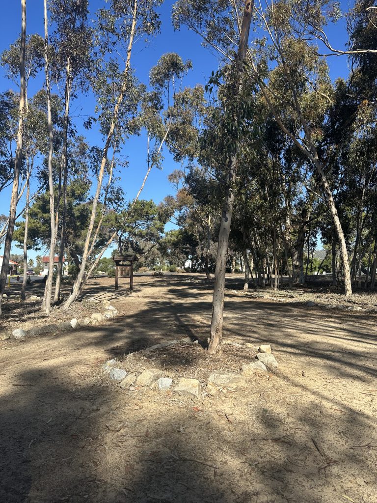 Preparing for the Overwintering Surveys - Environment for the Americas