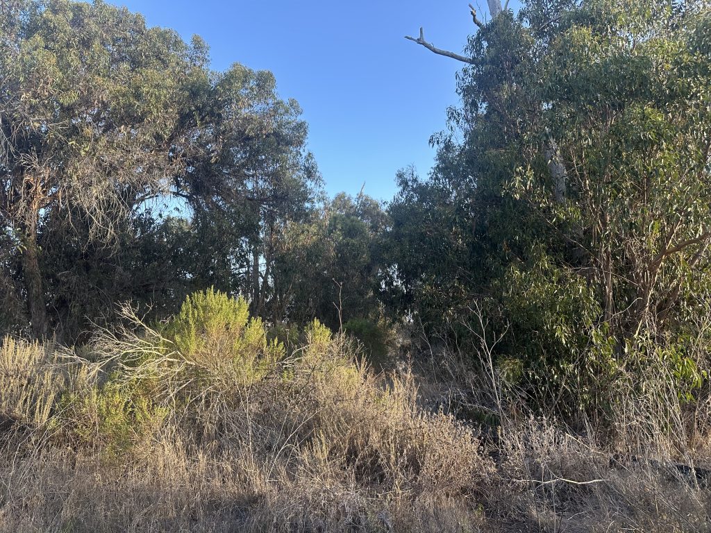 Preparing for the Overwintering Surveys - Environment for the Americas