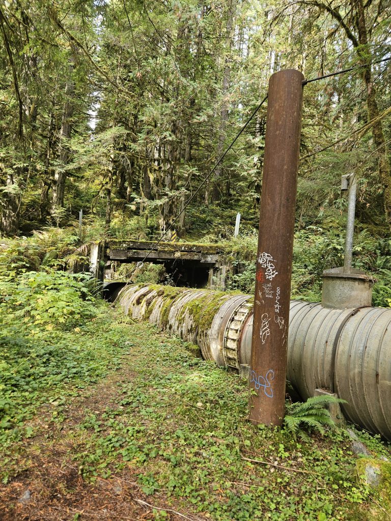 Patching Pathways - Environment for the Americas