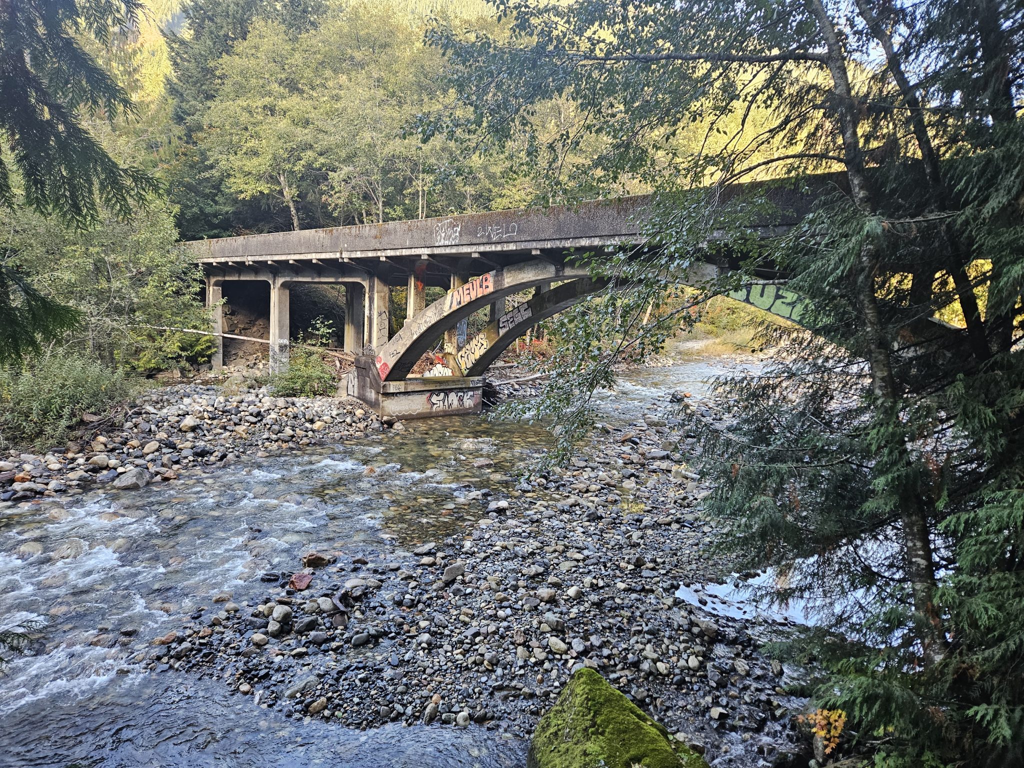 Patching Pathways - Environment for the Americas