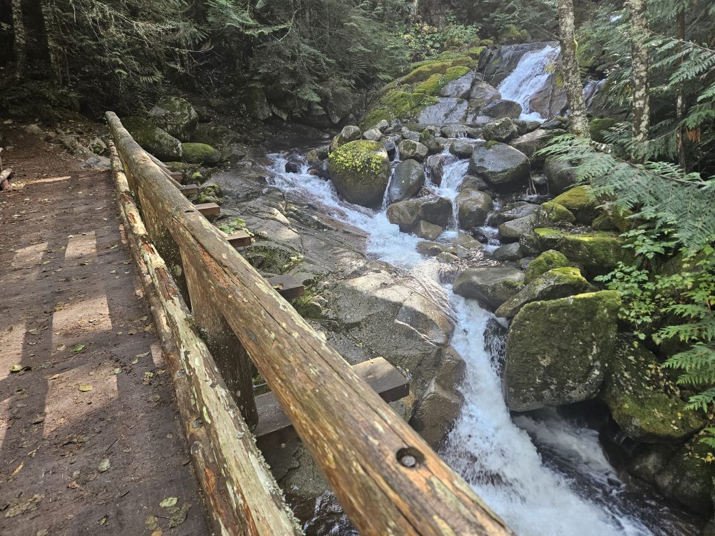 Patching Pathways - Environment for the Americas