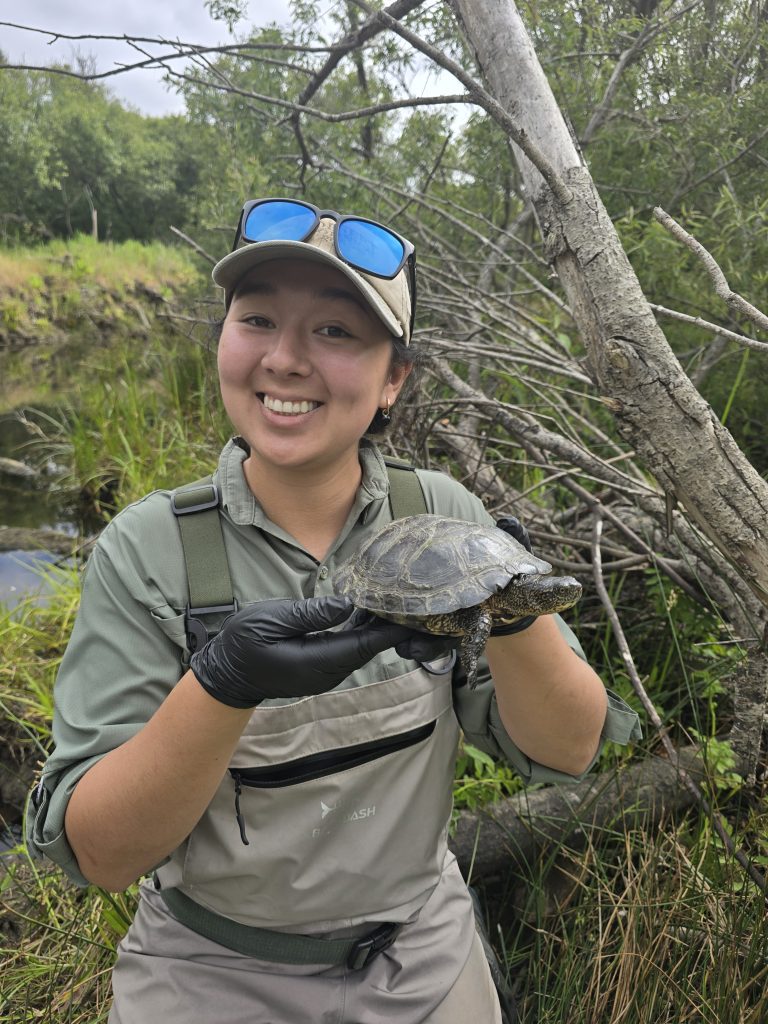 Western Pond Turtle Monitoring - Environment for the Americas