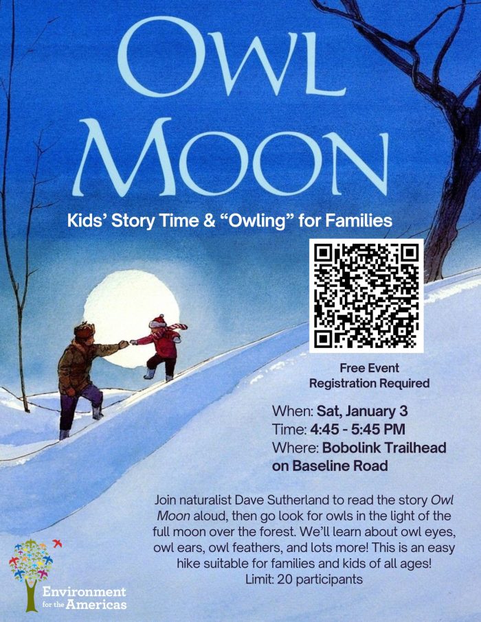 January Owl Moon: Kids' Story Time & "Owling" for Families ...
