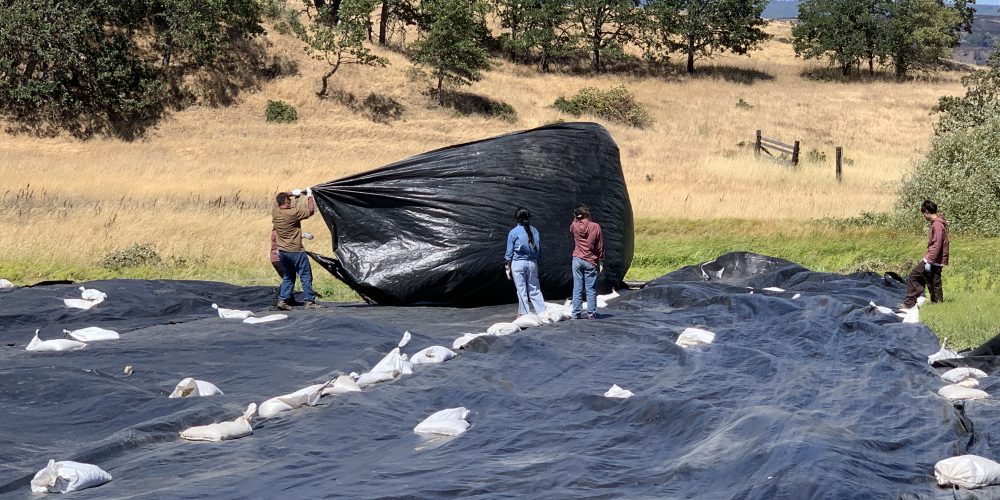 Building Buck and Rail Fence with a Local Youth Crew - Environment for ...