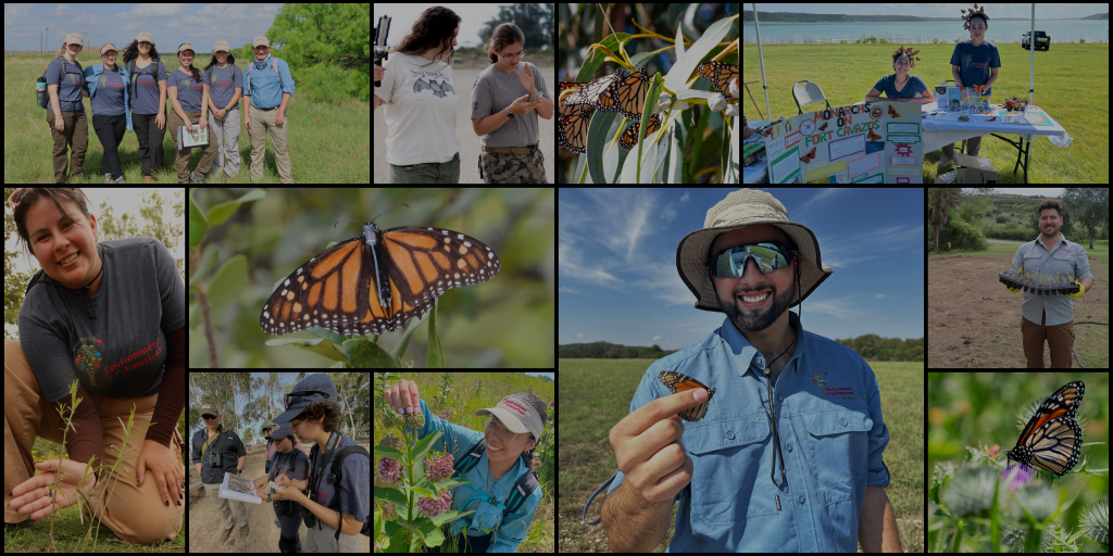 Monarch Butterfly Research and Conservation - Environment for the Americas