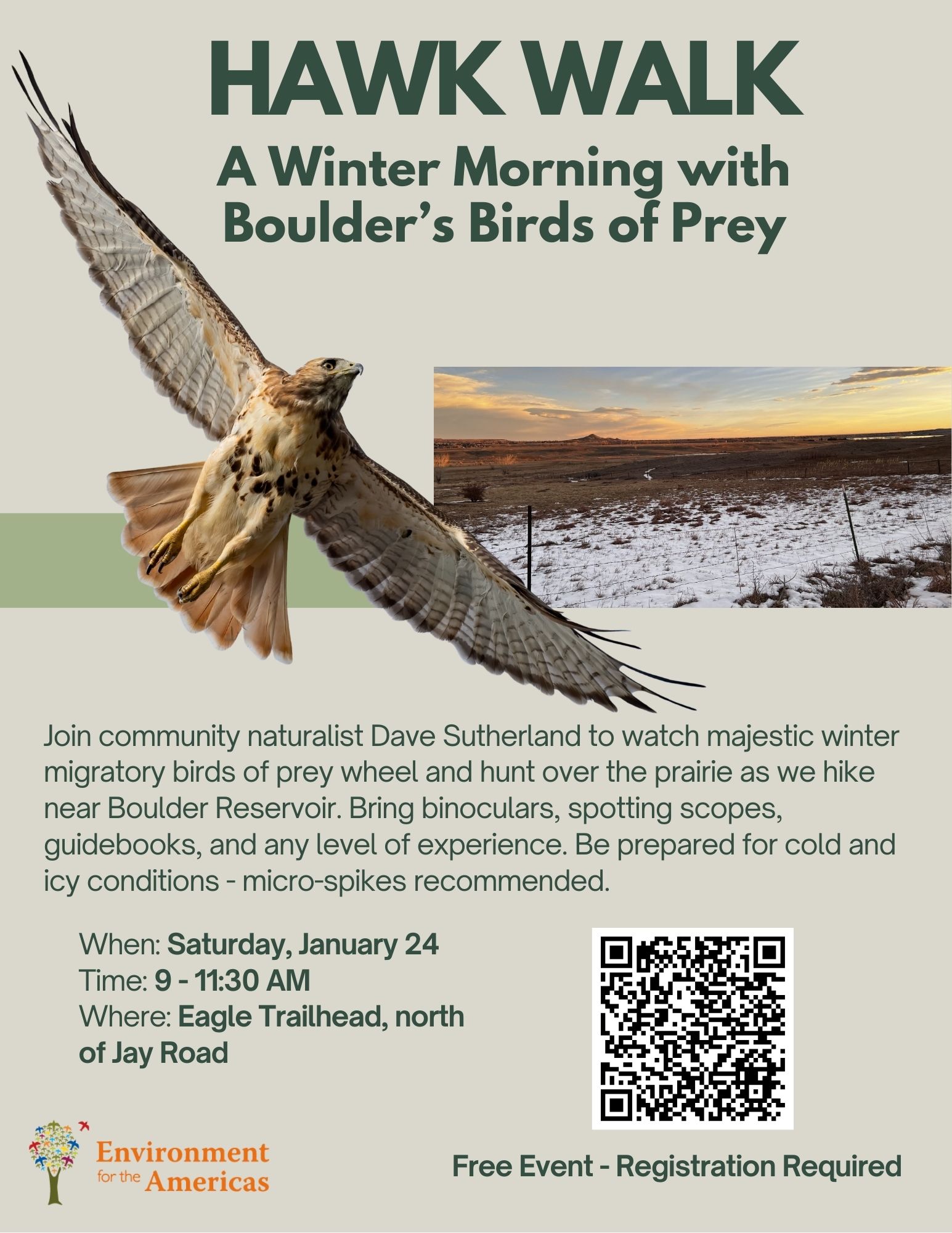 January Hawk Walk: A Winter Morning with Boulder's Birds of Prey ...
