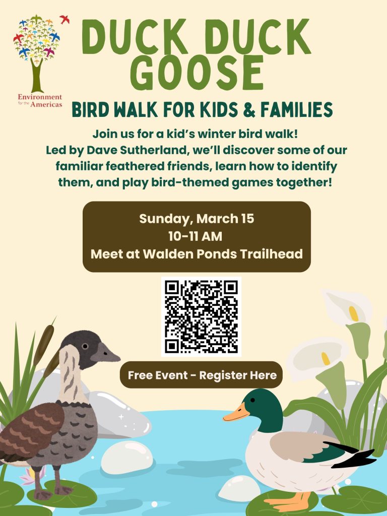 Duck Duck Goose! Birdwatching Fun for Families - Environment for the ...