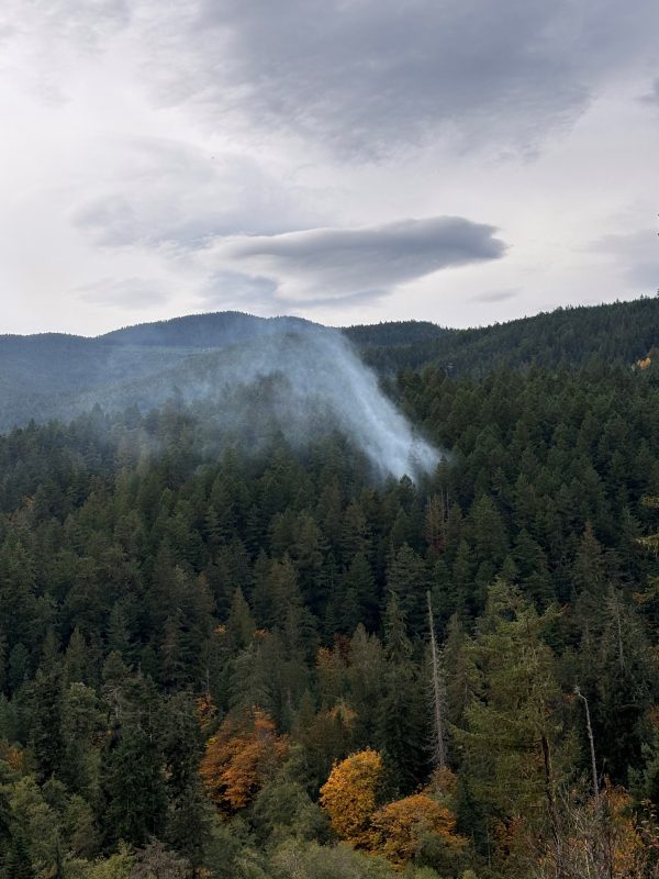 The Art of Pivoting - Environment for the Americas