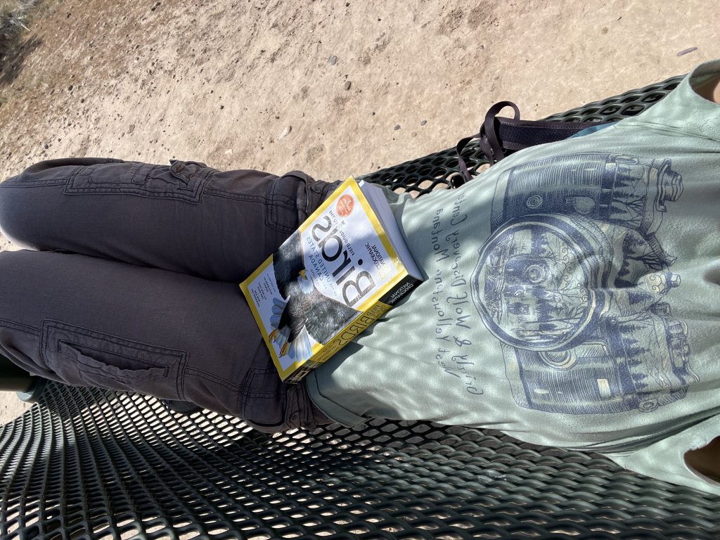 Logs and Lilies: Littlehorn, the Fashionable Lizard, and the Laundry ...