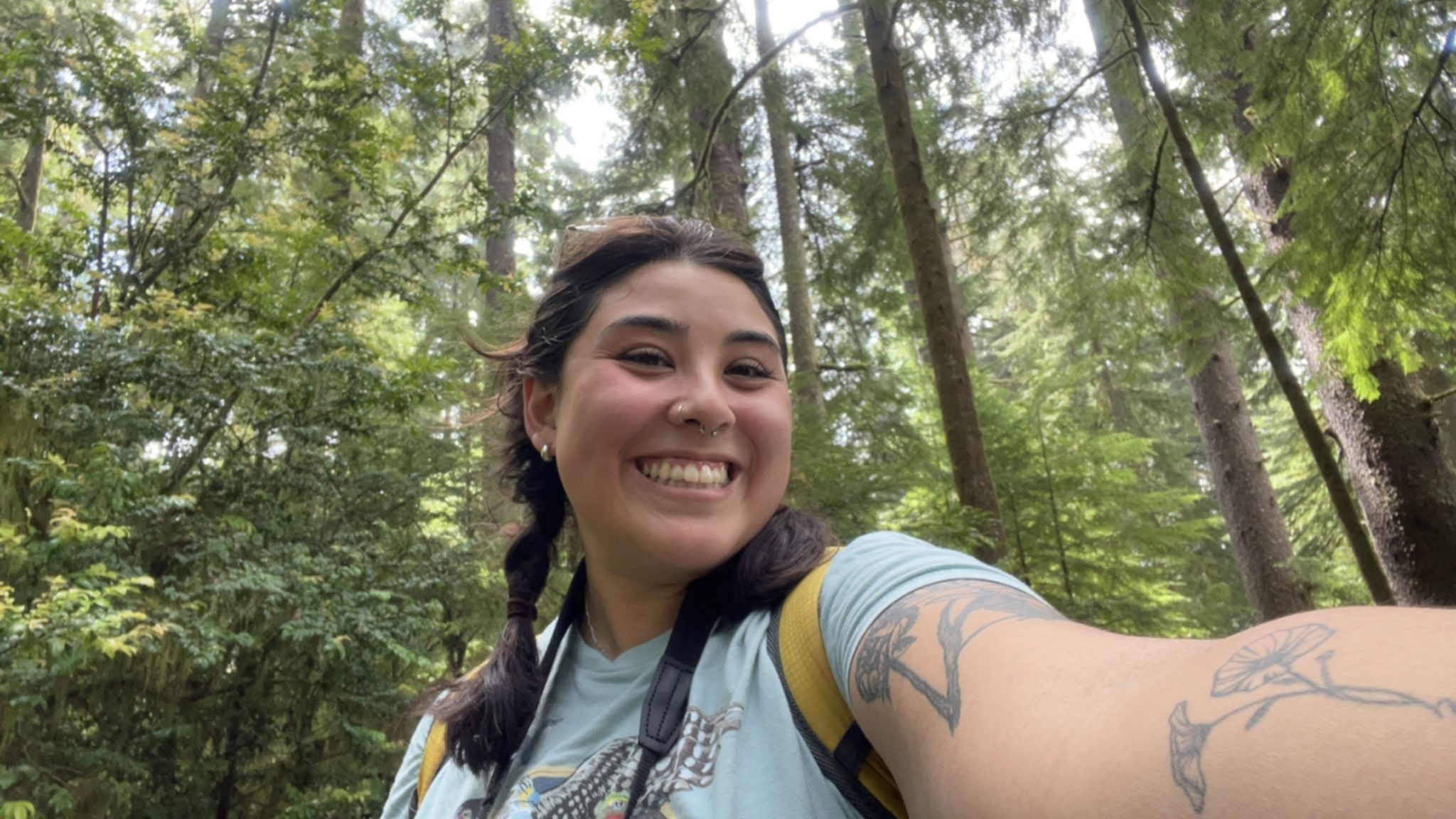 Tides, Trees, and Trails: Exploring the Siuslaw National Forest ...